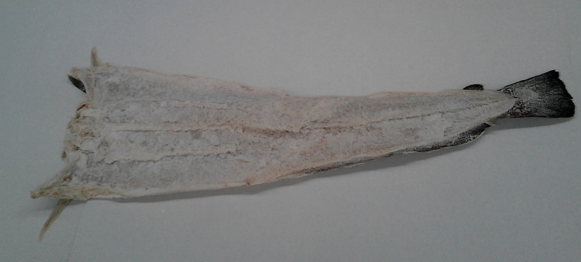 Julienne – Morue Salé Séchée Northern Fish